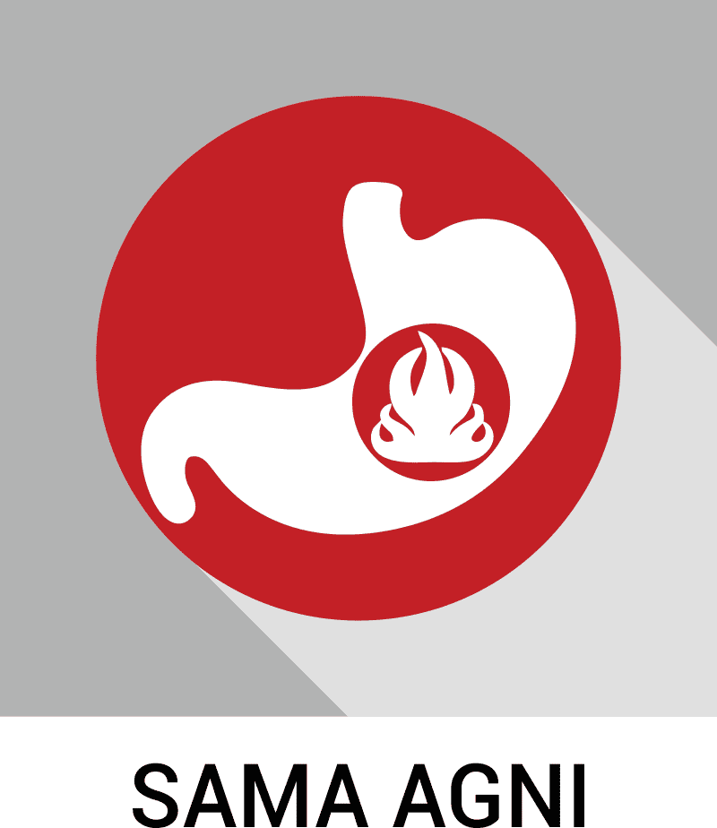 The Fierce Flaming Fires Of Sama Agni — IVAC Ayurvedic Centre India