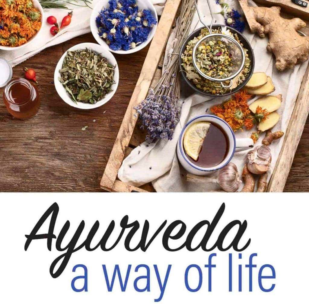 Ayurvedic Herbs For Digestive Health And Overall Wellness