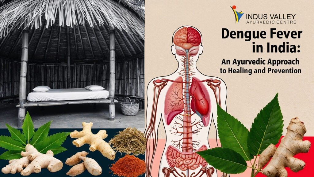 Dengue Fever And Ayurveda — IVAC Ayurvedic Centre India